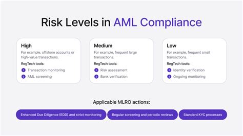 Mlro Work Responsibilities In 2025 Idenfy