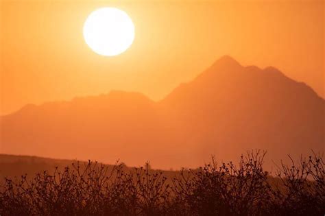 What Is Gondwanaland Gondwana Game Reserve