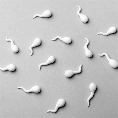 How To Increase Chance Of Implantation Fact Vs Fiction Undefining Motherhood