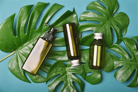 천연 스킨케어 뷰티 제품 녹색 자연 잎이 있는 화장품 병 용기 포장 유기농 스파 브랜딩 모의 블랭크 라벨 허브 건강 스킨 케어 건강관리와 의술에 대한 스톡 사진 및 기타