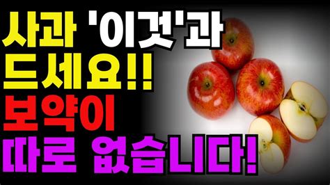 사과의 놀라운 건강 효과 하지만 이렇게 먹으면 독이 될 수도사과를 100 활용하는 법 껍질째 먹는 이유부터 궁합 음식까지 Youtube