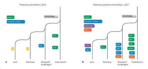Predictive Molecular Biomarkers In Cancers Of The Digestive System Download Scientific Diagram
