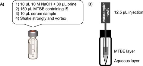 Sample Preparation Scheme A Sample Preparation Schematics B Download Scientific Diagram