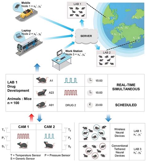 Kaist Iot 기반 뇌 신경회로 원격제어 시스템 개발