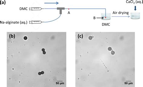 Preparation Of Alginate Hydrogel Microparticles By Gelation Introducing Cross Linkers Using
