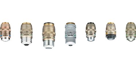 Nikon Introduces The Ax R Mp With Nsparc Super Resolution Multiphoton