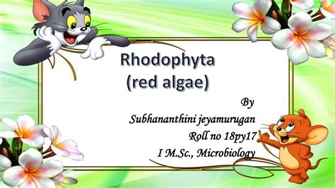 Rhodophyta Pptx