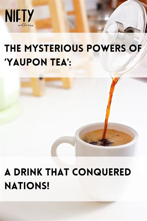 Yaupon Tea Benefits Boost Your Health Nifty Wellness