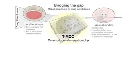 In Vitro Microfluidic Models Of Tumor Microenvironment To Screen Transport Of Drugs And