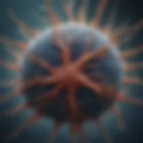 The Unique Functions Of Rat Astrocytes In Neuroscience