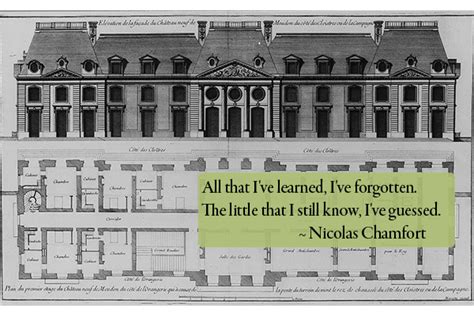 Accendo Weekly Update 373