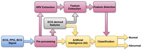 Automated Detection Of Hypertension Using Physiological Signals A Review Abstract Europe Pmc