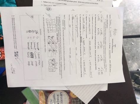 1st Grading Science 9