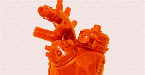 주황색 하트 모양의 물체 클로즈업 사진 Unsplash의 심장 판막 이미지