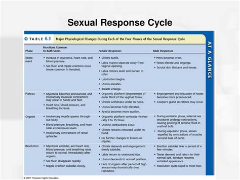 PPT Sexual Arousal And Response PowerPoint Presentation Free Download ID