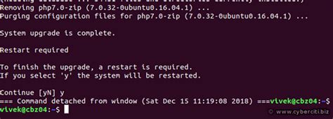How To Update Lxd Container Ubuntu Image From 1604 To 1804 Nixcraft