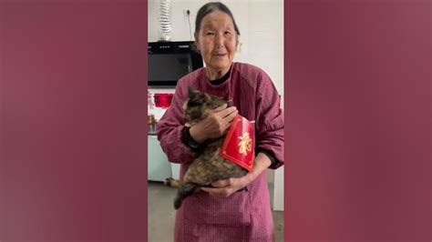 咱奶携猫小孙给大家拜年啦，🈶️咱小猫在，蛇年一年顺风顺水又顺财神猫猫我也要过年啦 今年除夕是大年二十九 萌宠来拜年了 过年就唱爆竹声声一岁除