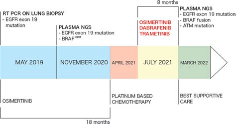 Timeline Of The Whole Course Of Treatment Ngs Next Generation