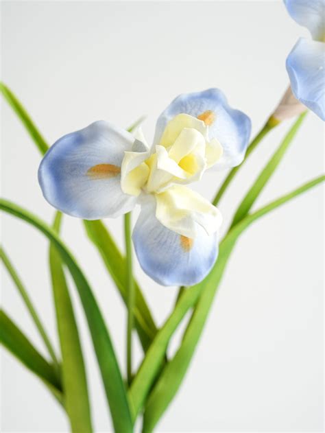 Real Touch Artificial Iris Flower 55cmh Floral Supplies Store