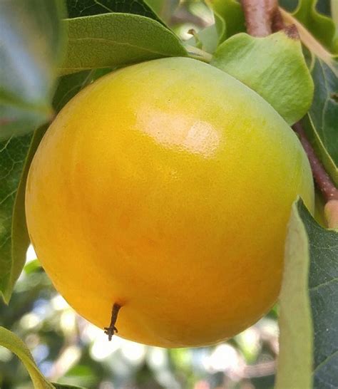 전기누전수리업체 의정부동 호원동 장암동 신곡동 용현동 민락동 낙양동 전기공사 전기누전공사24시 긴급전기24시 전기누전출장수리 네이버 블로그