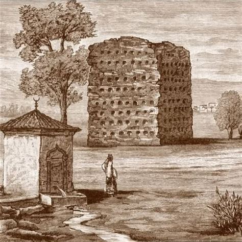 Veliki Mokri Lug Veliki Mokri Lug • Instagram Photos And Videos