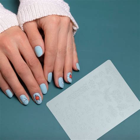 매니큐어 실리콘 템플릿 스텐실 네일 템플릿 스탬핑 장식 스티커 네일아트 And 도구