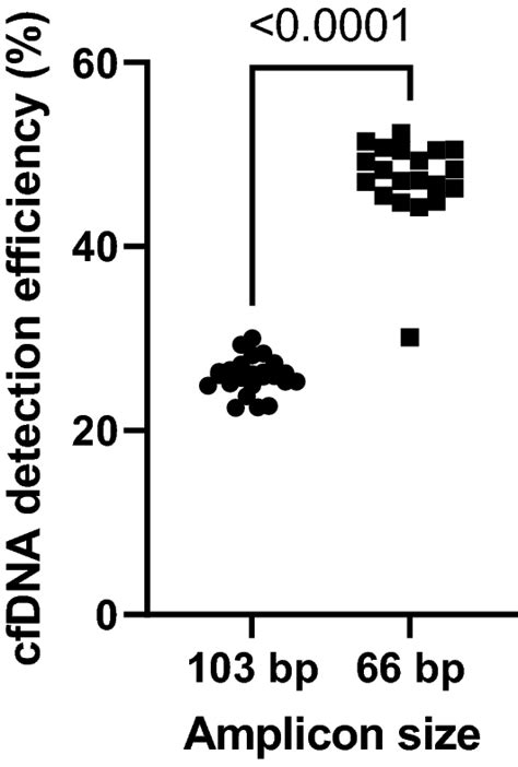 The Relationship Between Amplicon Size And Cfdna Detection Efficiency Download Scientific
