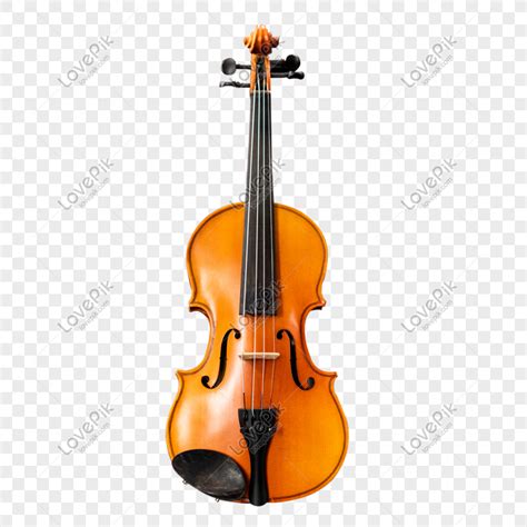 바이올린 이미지 사진 401432373 무료 다운로드