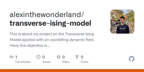 Github Alexinthewonderlandtransverse Ising Model This Is About My Project On The Transverse