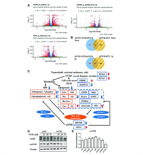 Integrated Transcriptomics And Lipidomics Network Analysis A Volcano