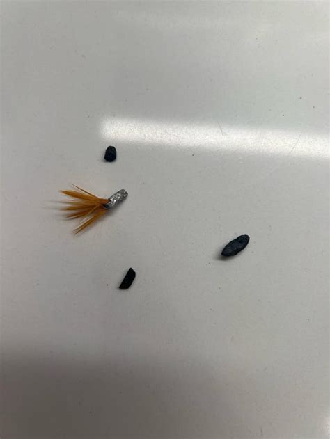 Empty Garbage Disposal Making Bad Grinding Sound R Plumbing