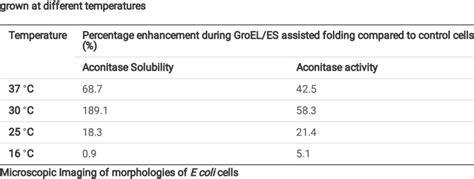 Enhancement In Solubility And Activity During Chaperone Assisted Download Scientific Diagram