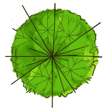 Tree Plantree Psd PNG Transparent Images Free Download Vector Files Pngtree