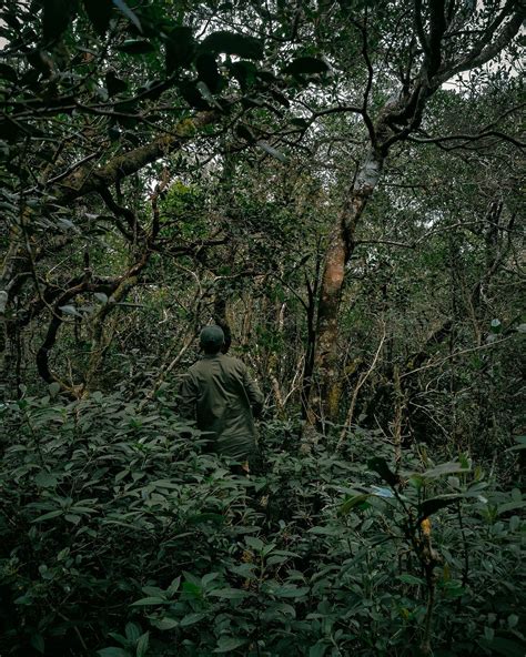 Hansana Bandara Hansanabande • Instagram Photos And Videos