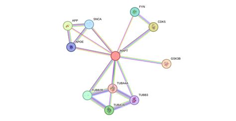 The Mapt Gene And Its Putative Association With Human Ageing