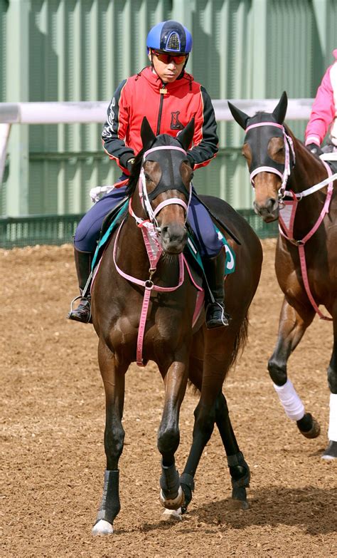 【池添謙一のken To 1】今週から新馬戦 ショウナンザナドゥはクラシック意識できる好素材 スポーツ報知