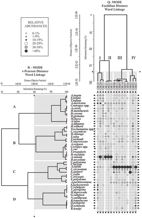 Q And R Mode Cluster Analyses Based On Relative Abundance Of Benthic