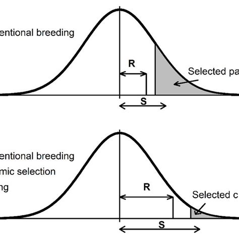 Schematic Diagram Illustrating The Difference Between A Conventional Download Scientific