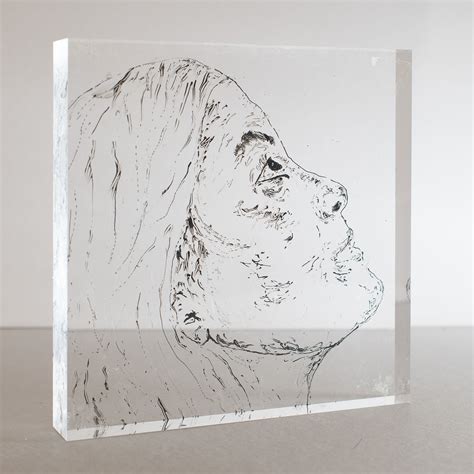 lulu stephens — visual arts at sevenoaks school