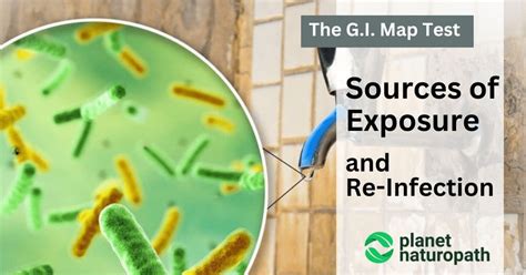 Gi Map Test Bacterial Pathogens And Parasites