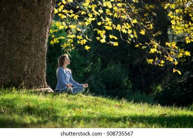 Tree Meditation Images Stock Photos Vectors Shutterstock