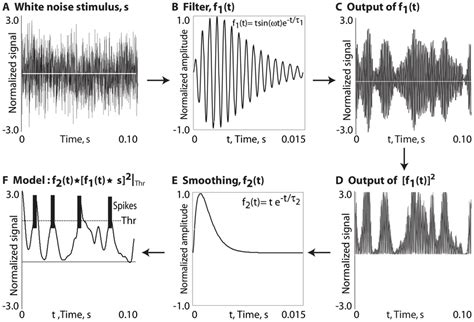 Schematic Of A Nonphaselocked Auditory Neuron A In This