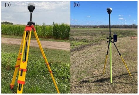 Sensors Free Full Text Precise Positioning In Nitrogen Fertility Sensing In Maize Zea Mays L