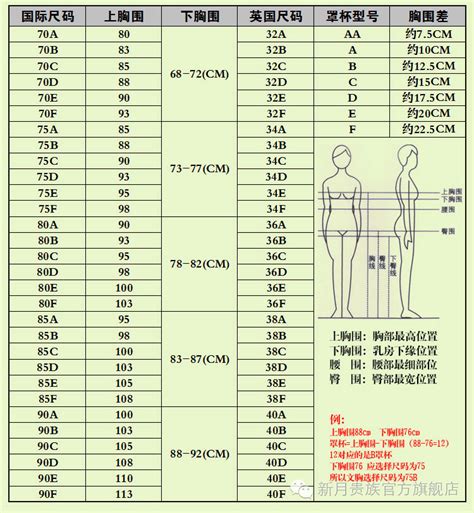 女性内衣文胸尺码尺寸对照表（最全版）华安 新月贵族内衣新浪博客