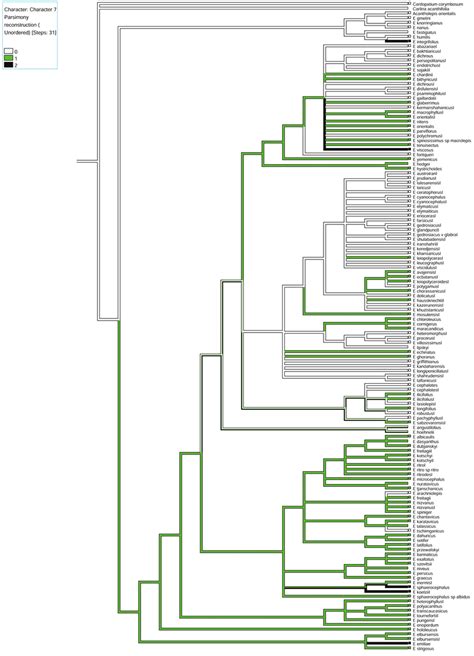 Evolutionary Trend Of Some Selected Diagnostic Morphological Characters Download Scientific
