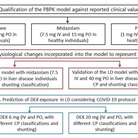 Overall Step By Step Workflow Representing The Pbpk Modelling Download Scientific Diagram