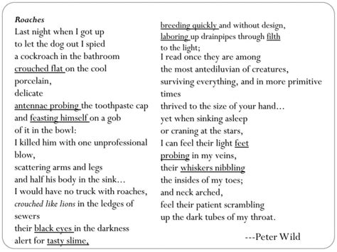 Connotative And Denotative Connotation Versus Denotation Ppt