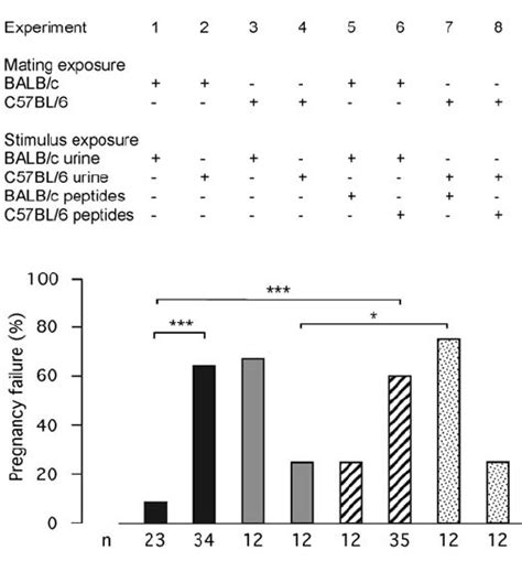 Peptides Function As Individuality Signals In The Context Of Pregnancy Download Scientific