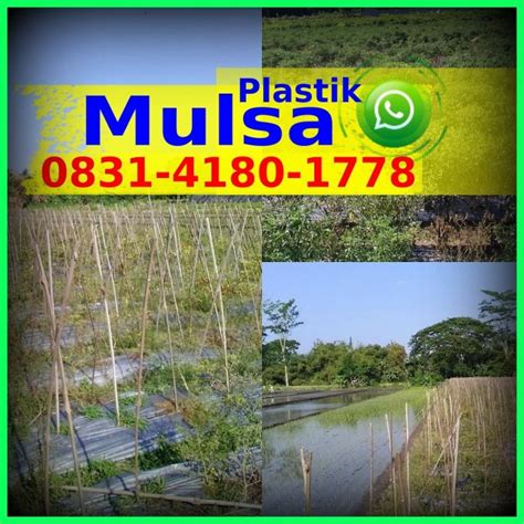 Plastik Mulsa Harga O8౩l~Կl8o~l778 [wa] Harga Mulsa Plastik Diskon