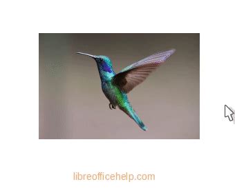 Rotate Resize And Skew Shapes And Images In Draw